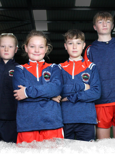 Education Licensed Gear | Bodibro